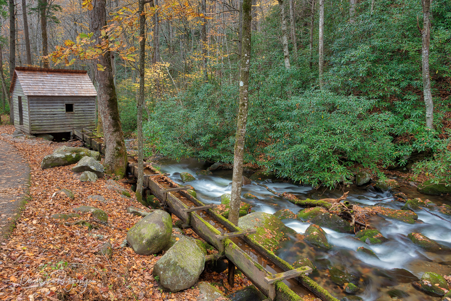 Alfred Regan Mill | Dave Wilson Photography